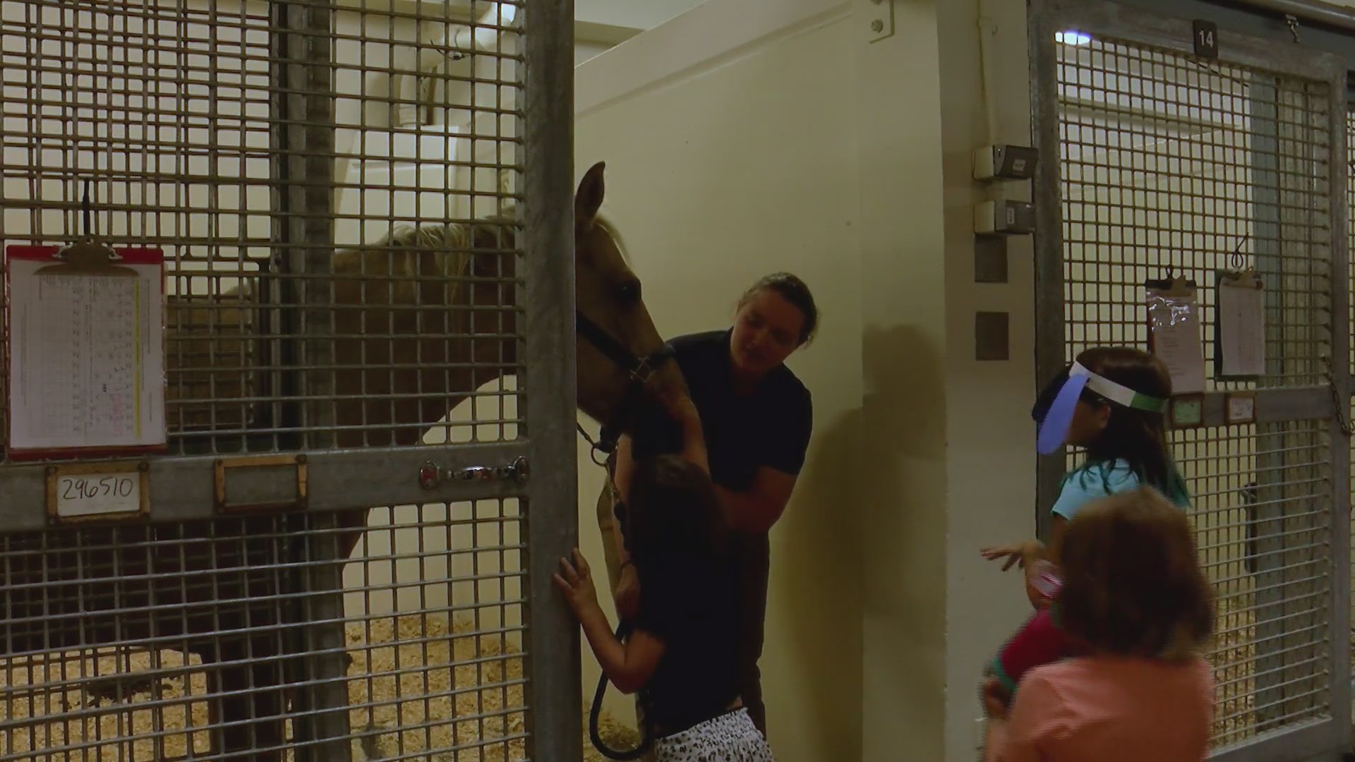 U of I vet med students share love for animals with community – WCIA.com
