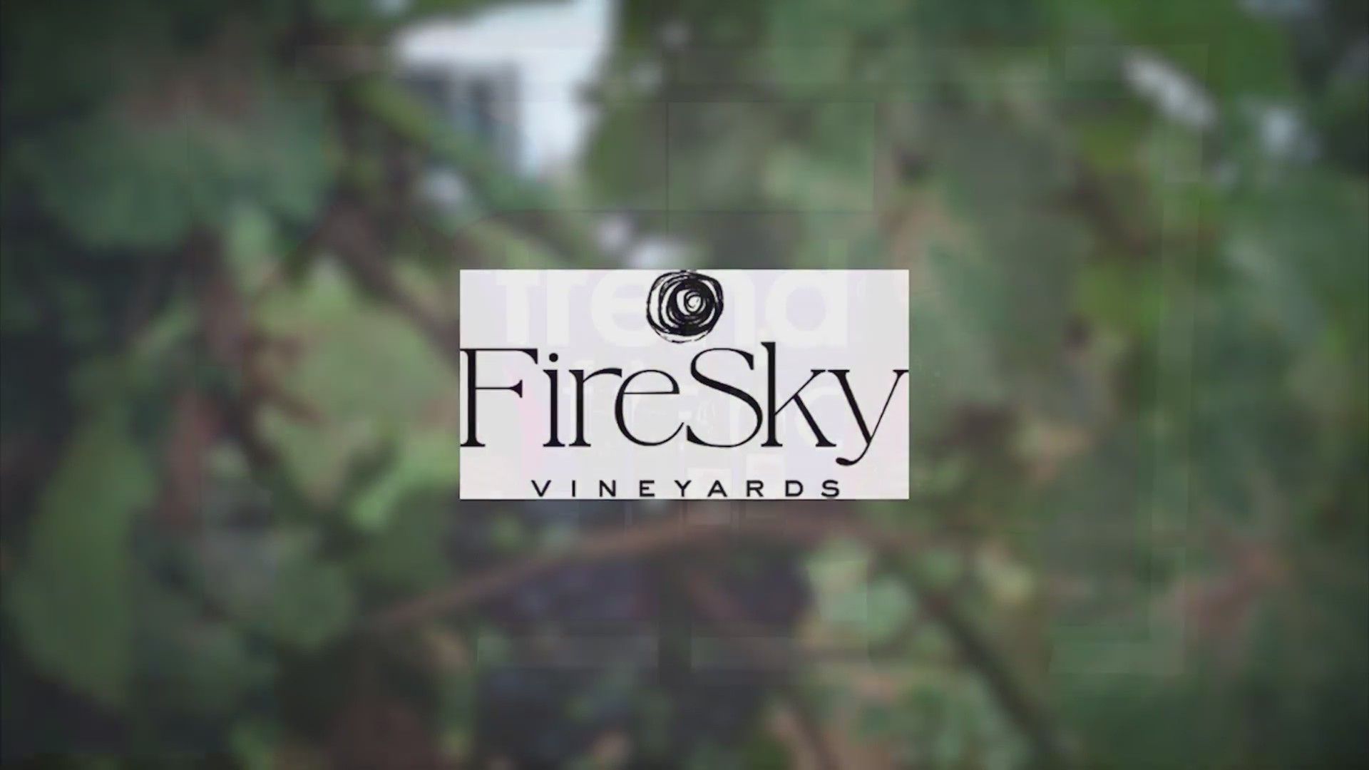 FireSky Vineyards joined us for Sipping on the South Plains – KLBK ...