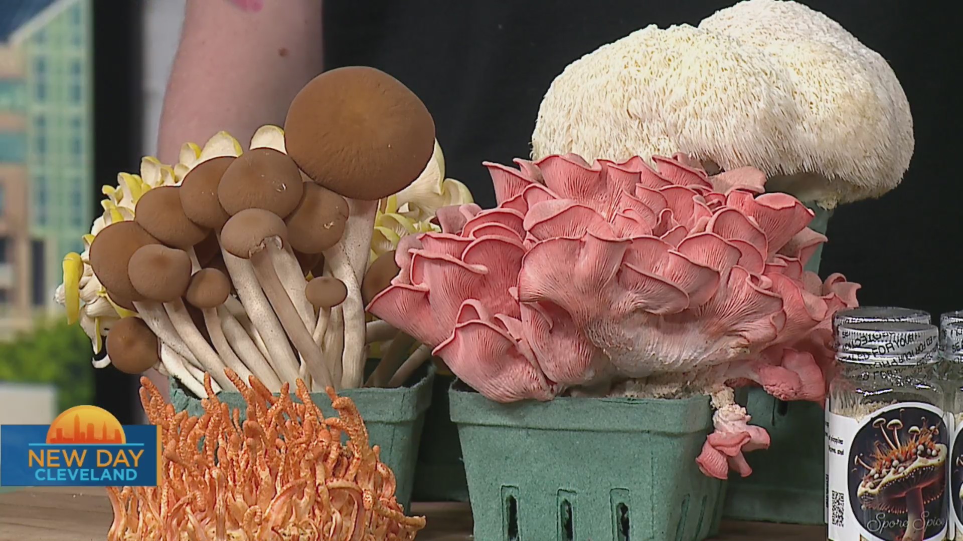 New Day Cleveland: The Spore Store – Fox 8 Cleveland WJW