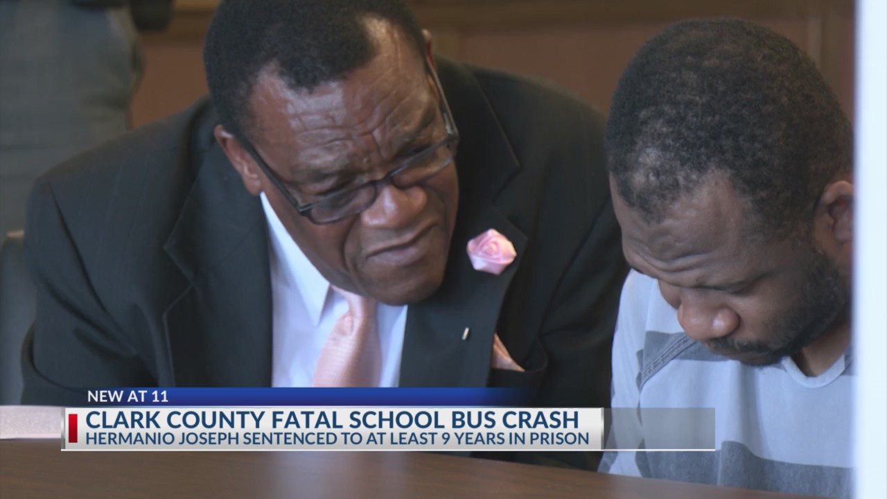 Driver in fatal Clark County school bus crash sentenced – NBC4 WCMH-TV