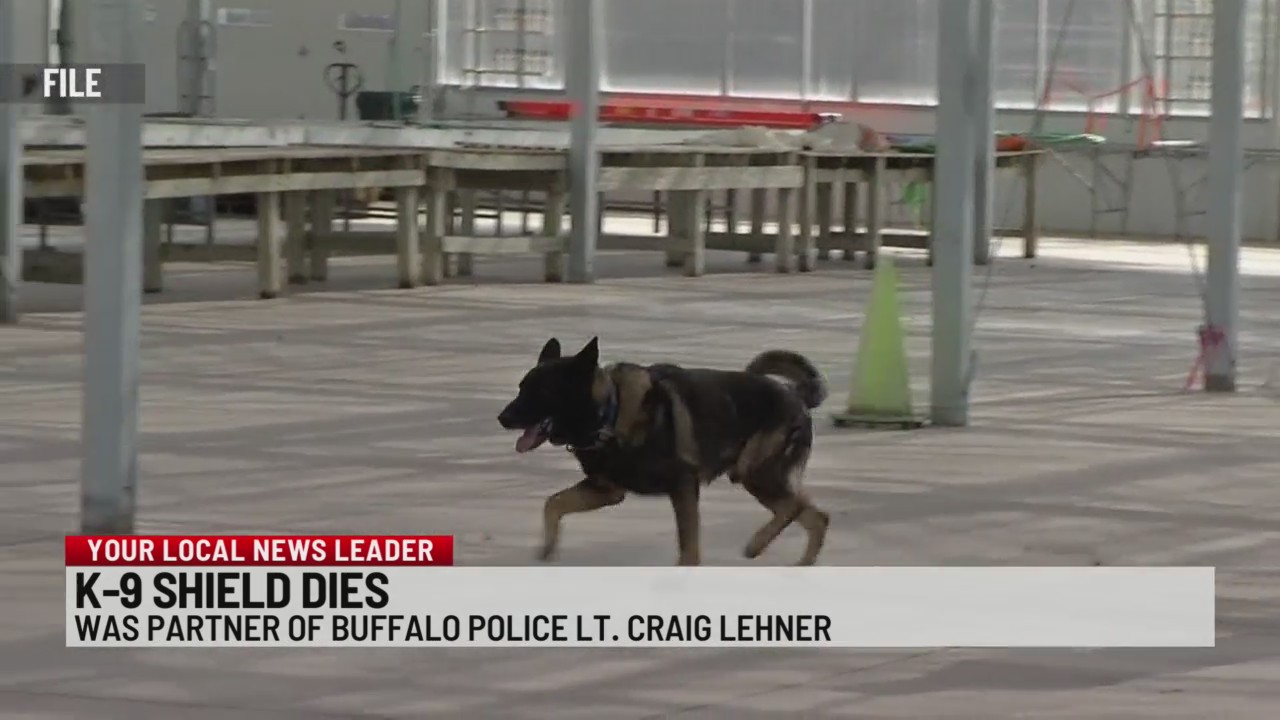 Retired Buffalo police K9 that served alongside late Lt. Craig Lehner ...