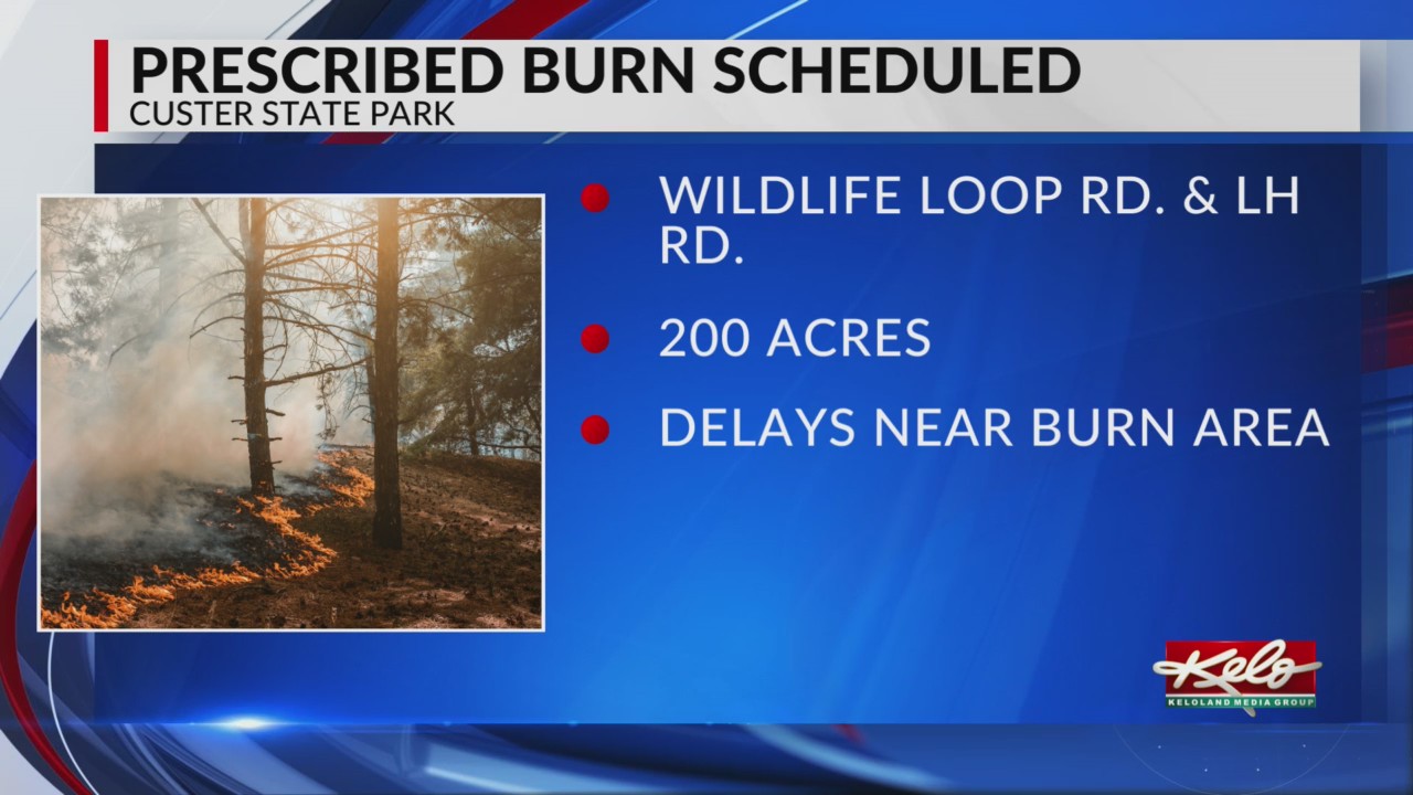 Prescribed burn set at Custer State Park – KELOLAND.com