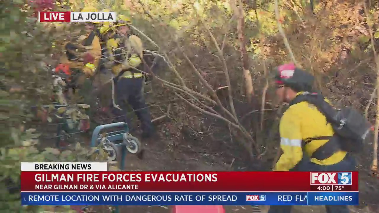 Evacuations lifted due to Gilman Fire in La Jolla – FOX 5 San Diego ...