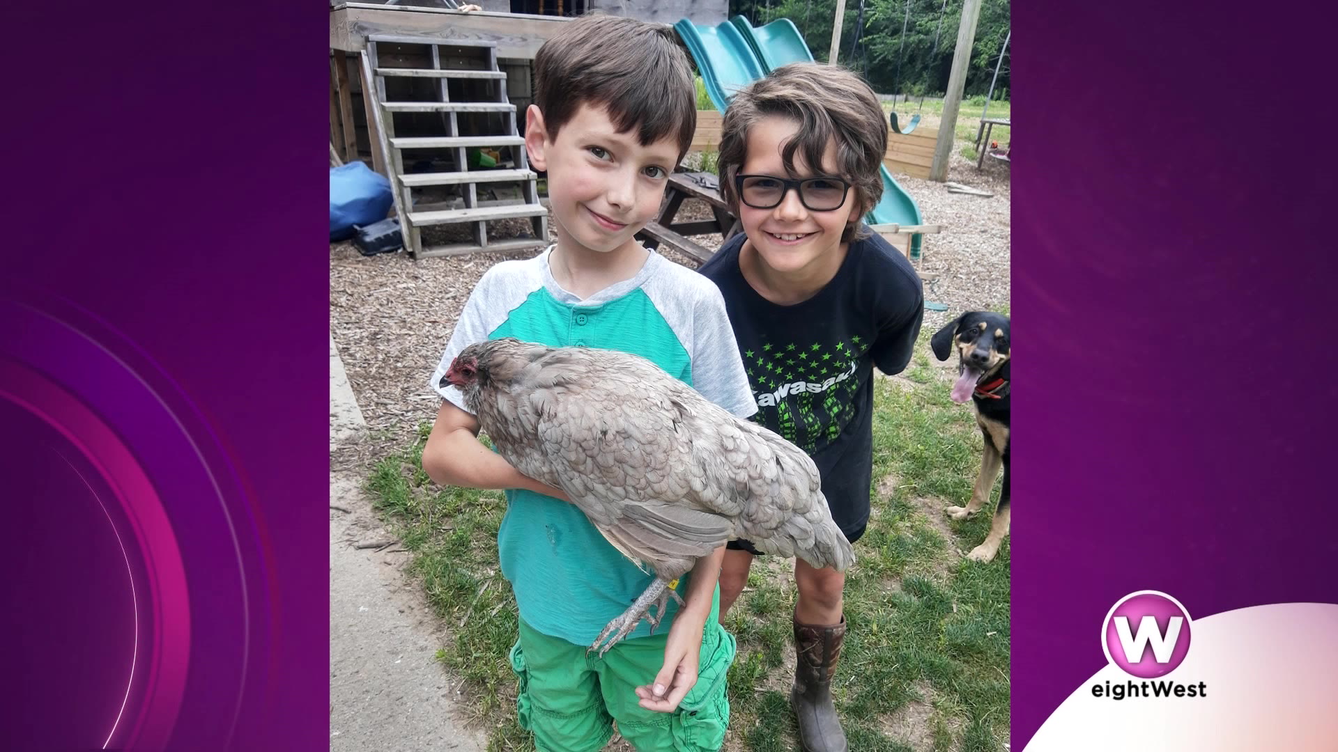 It’s time for the Muskegon County Fair – WOODTV.com