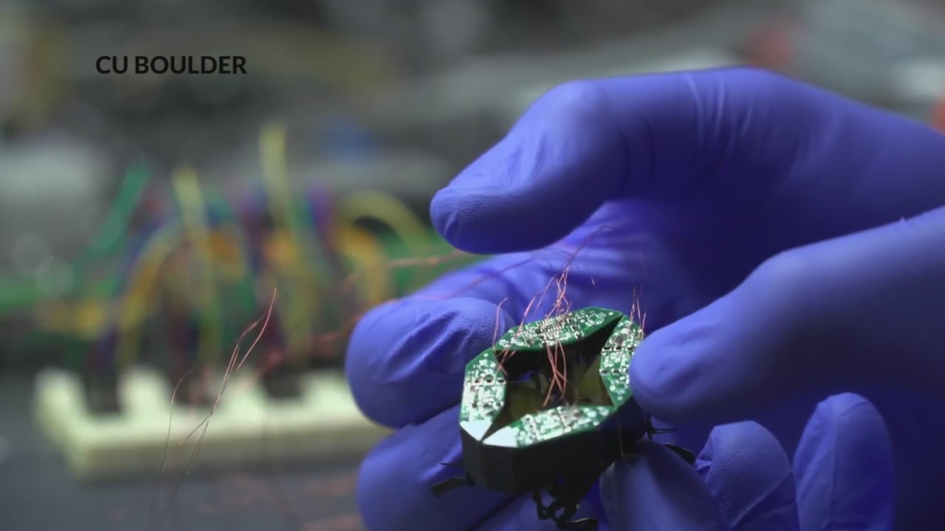 CU engineers aim to make robots that can outrun animals – FOX31 Denver
