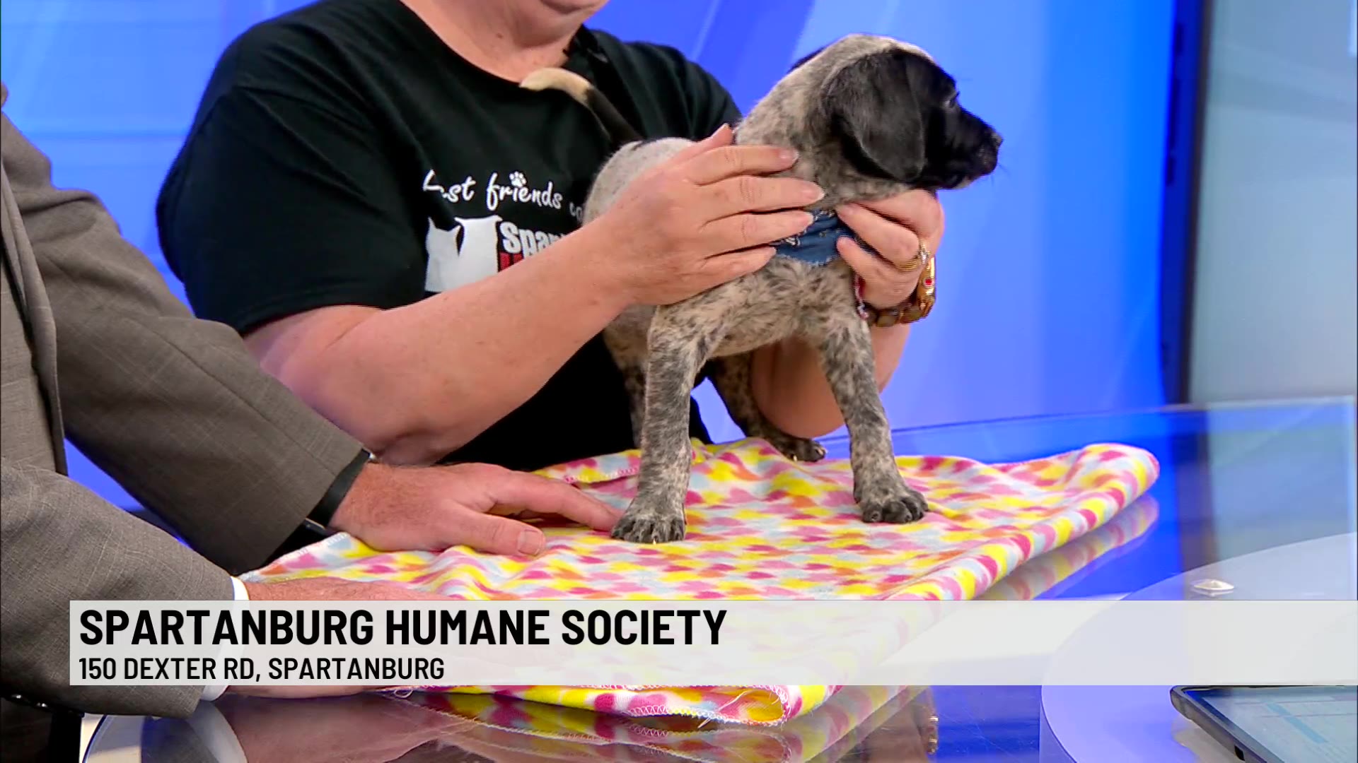 Pet of the Week: Mikey – WSPA 7NEWS