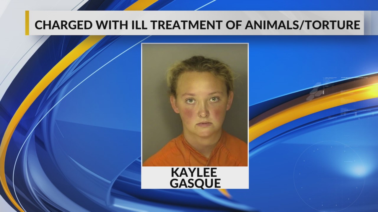 Ex-Horry County shelter worker accused of mistreating animals at her ...