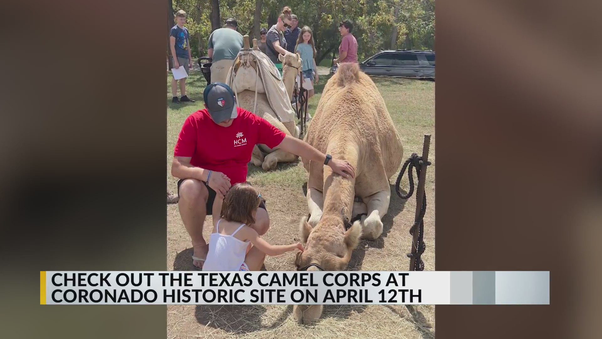 Texas Camel Corps to travel to Coronado Historic Site – KRQE NEWS 13 ...