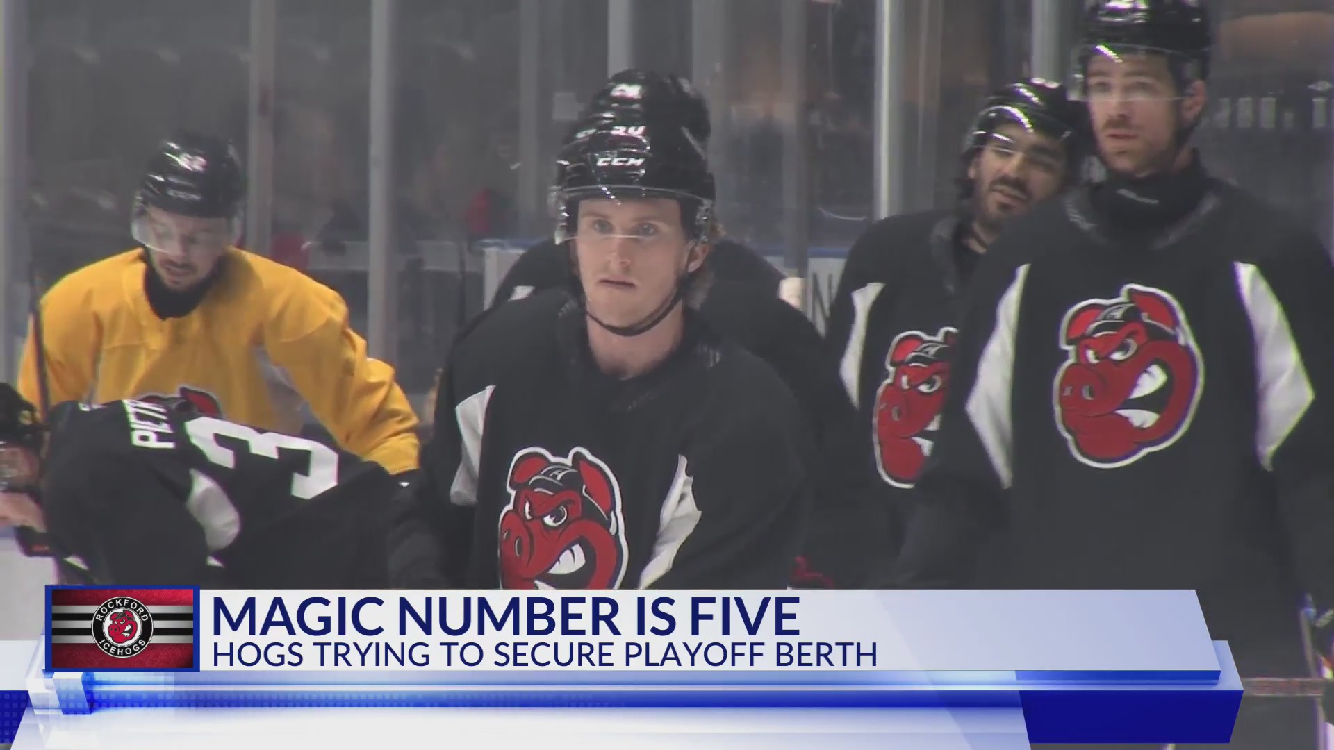 Playoff spots up for grabs in a huge week for the Rockford IceHogs ...
