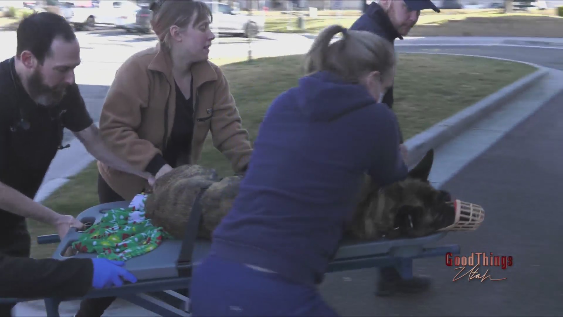 Intermountain Life Flight Launches Unique K9 Medical Air Transport ...