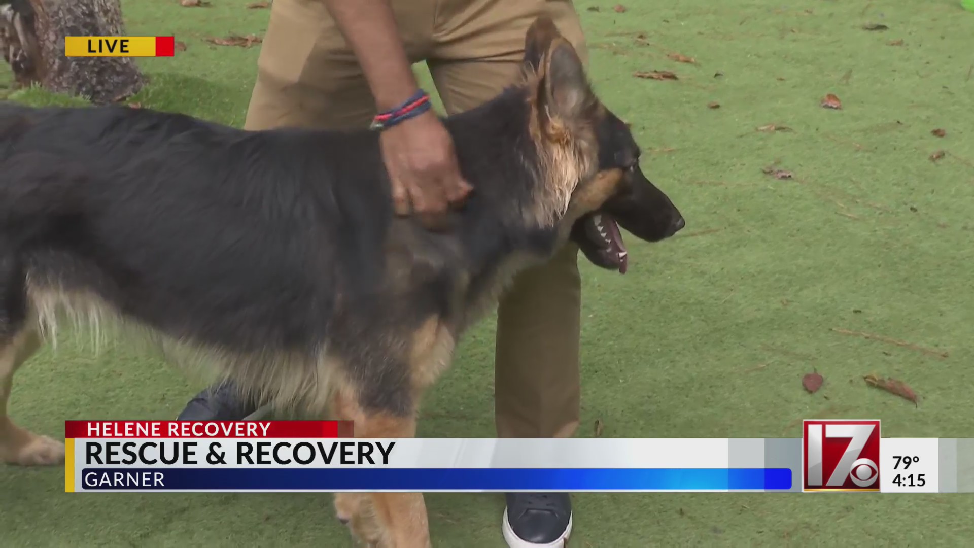 Pets rescued and recovered after Hurricane Helene – CBS17.com