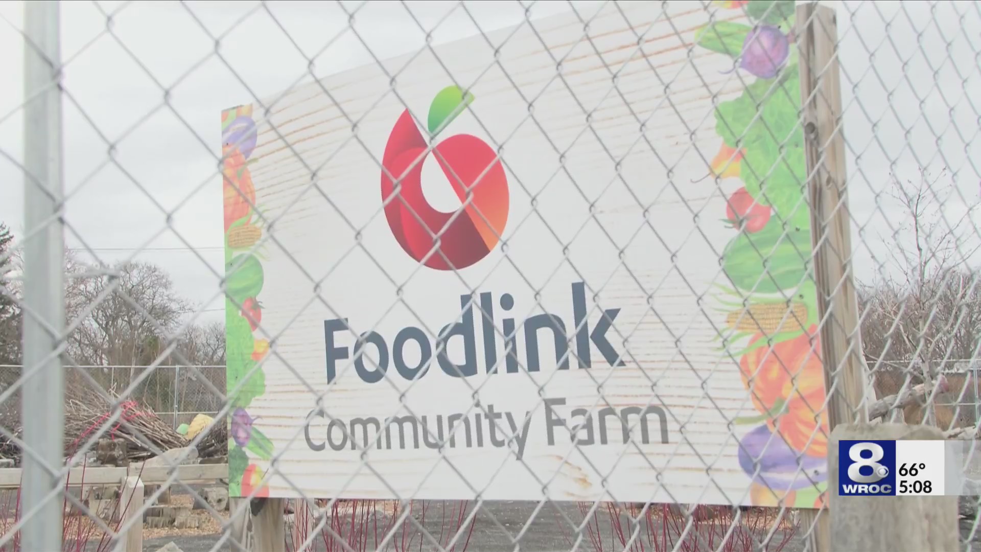 Foodlink addresses federal funding cuts to USDA food assistance programs – RochesterFirst