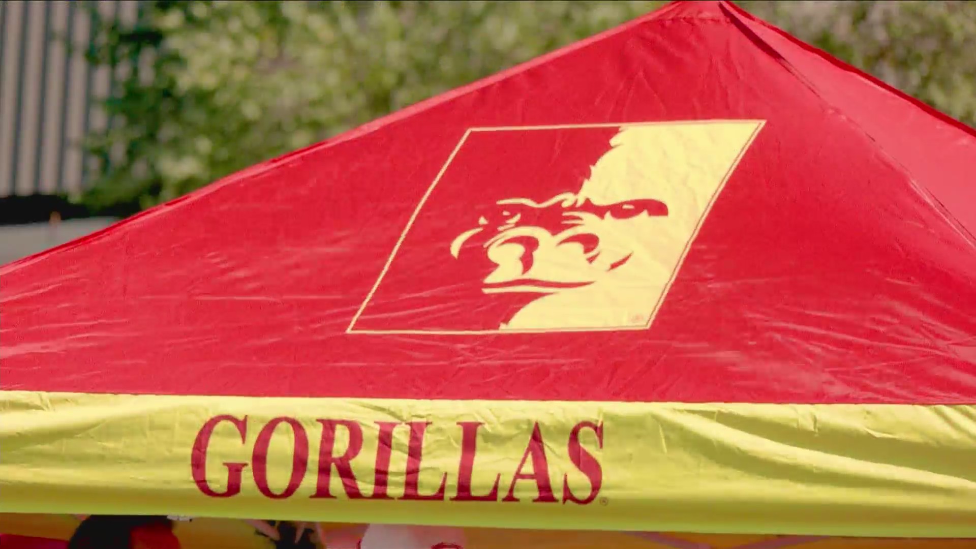 Gorillafest 2025 held in Pittsburg – KSNF/KODE | FourStatesHomepage.com