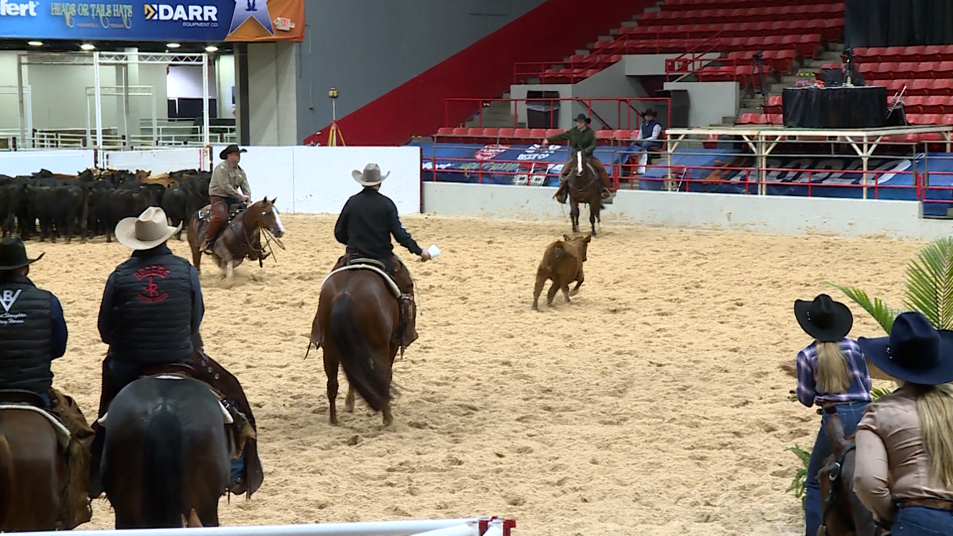 RODEO HOUSTON CUTTING HORSE SHOW UNDERWAY – CW39 Houston