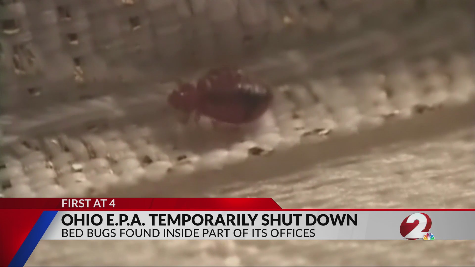 OHIO EPA temporarily shut down after bed bugs found in offices – WDTN.com