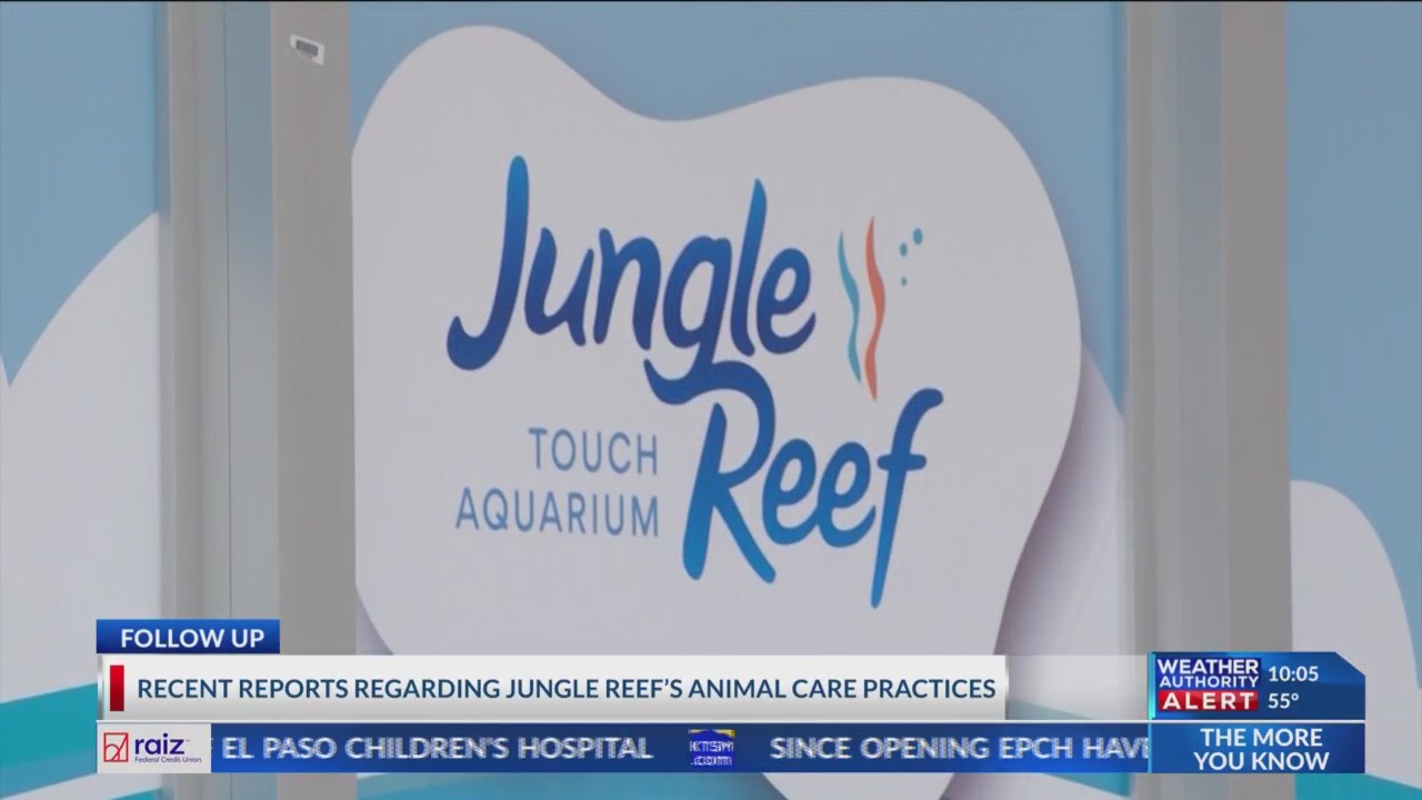 Jungle Reef reports raise animal wellbeing concerns – KTSM 9 News