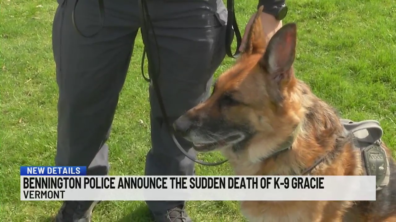Bennington Police announced the sudden death of K9 Gracie – NEWS10 ABC