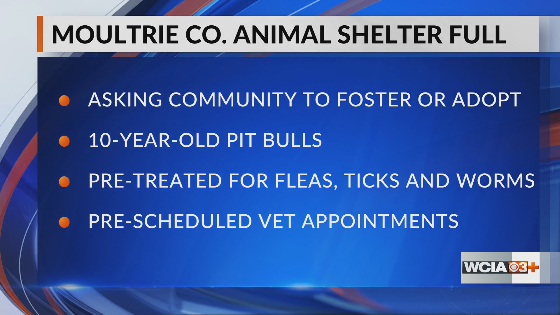 Moultrie Co. Animal Control full, community asked to foster, adopt ...