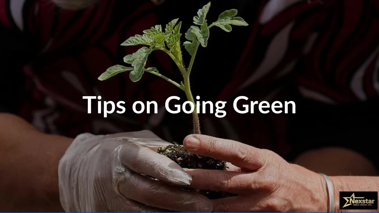 Tips on Going Green – KOIN.com
