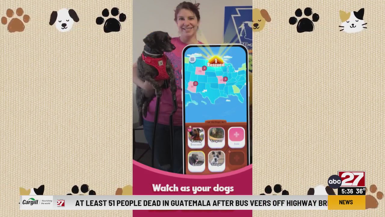 Franklin County animal shelter using app to give dogs treats, here’s ...