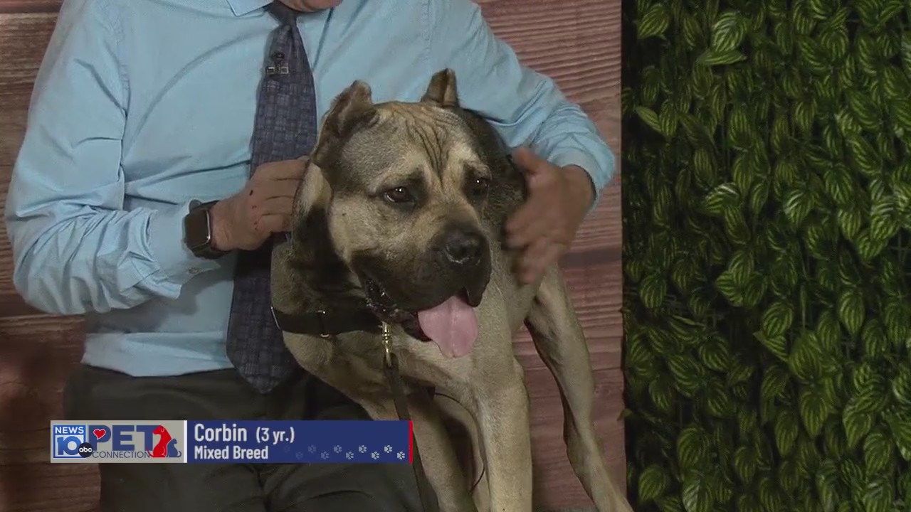 Corbin – NEWS10 ABC