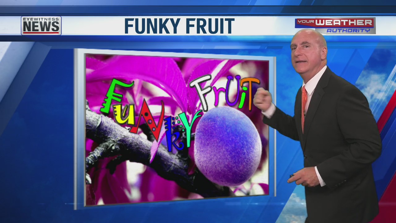 FuNkY FrUiT Punk Rockin Potato – Eyewitness News (WEHT/WTVW)
