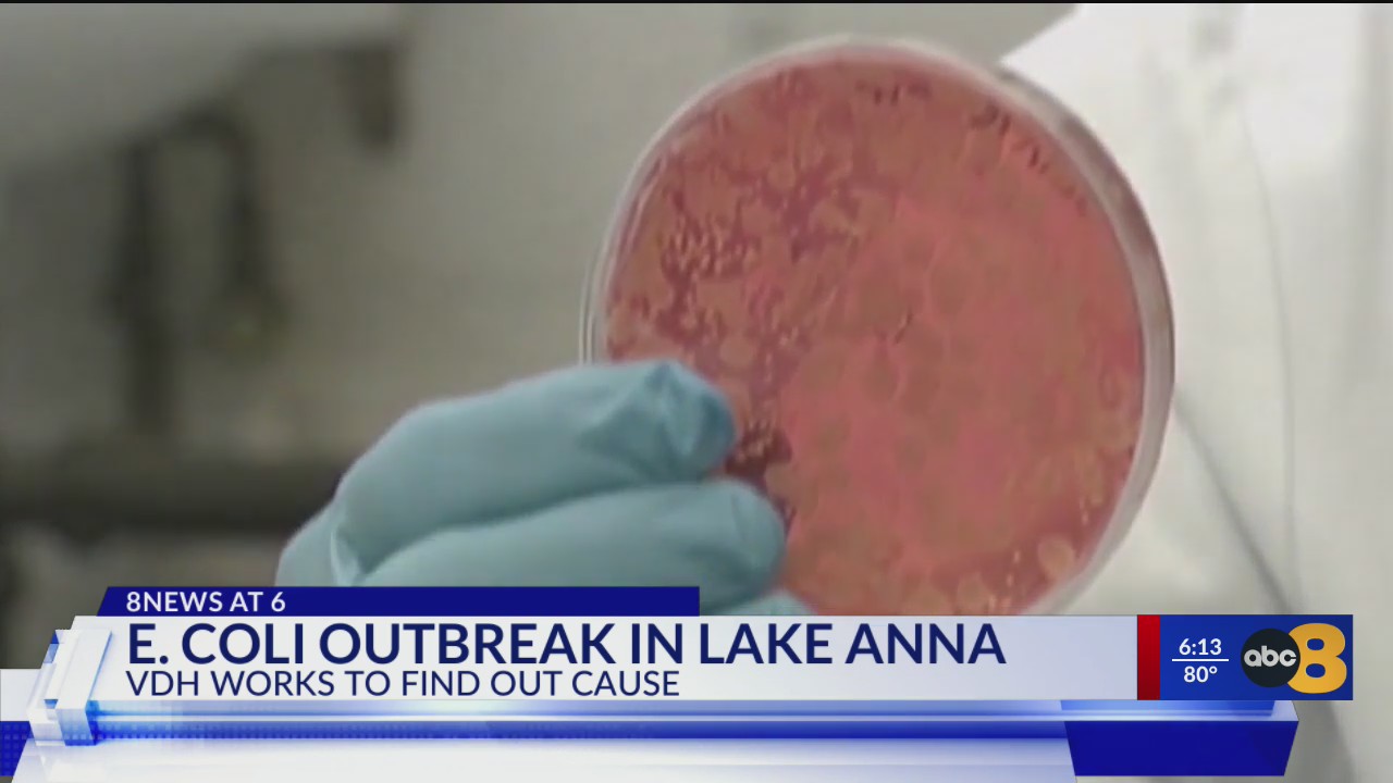 ‘We’re investigating all possible causes’: Virginia Department of ...
