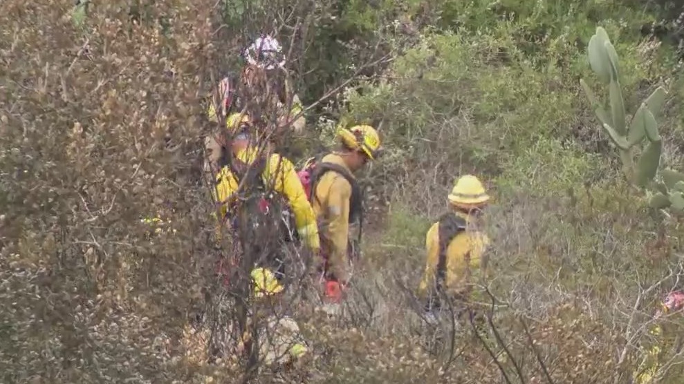 Firefighters battle brush fire in University Heights – FOX 5 San Diego ...