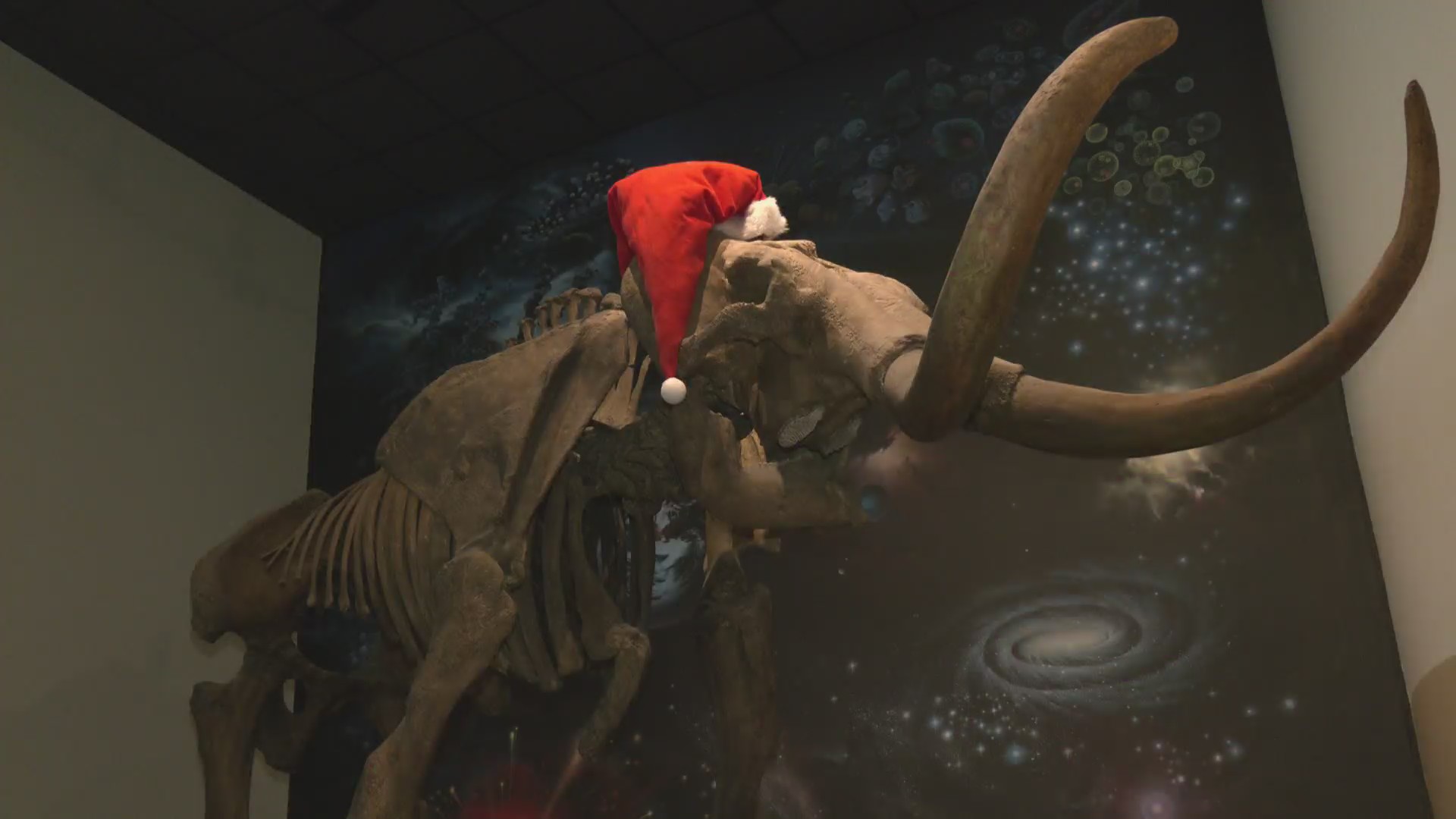 Burpee Museum celebrates holiday dedicated to Ice Age animals ...