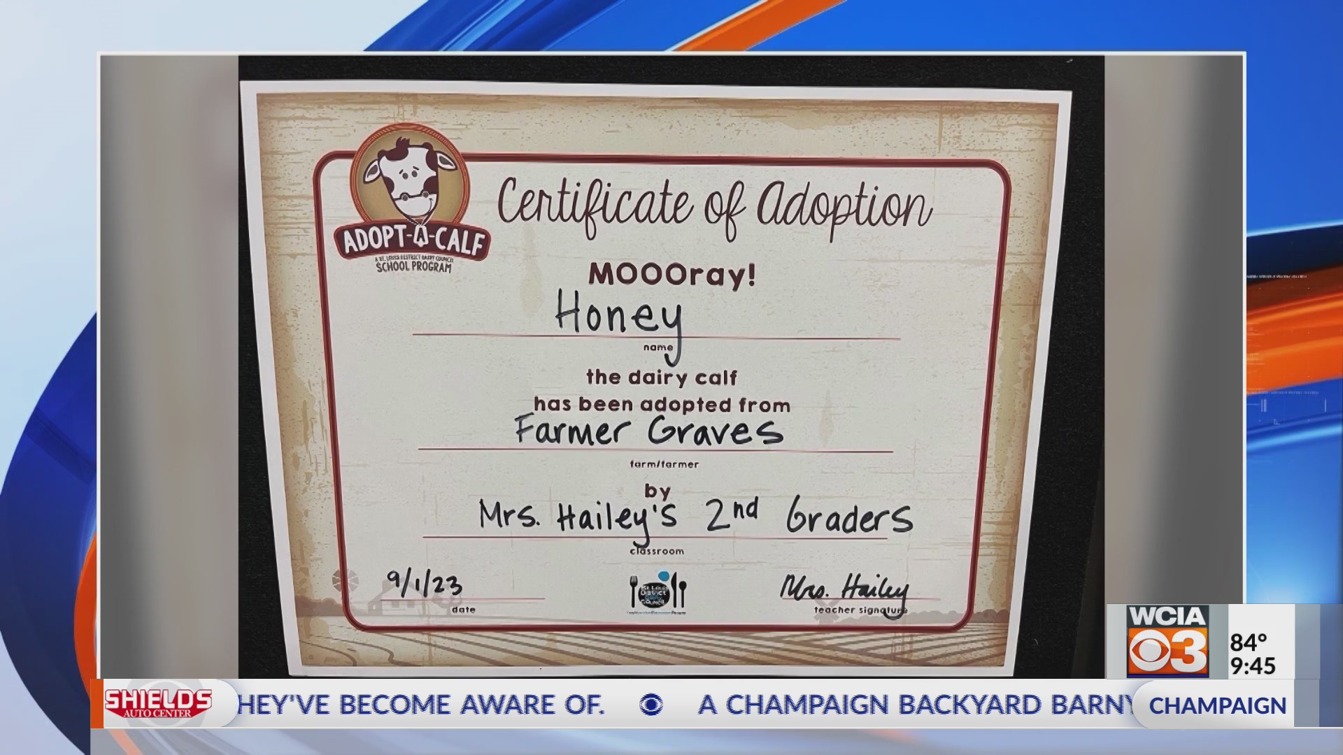 Adopt-A-Cow Program | Ag in the Classroom – WCIA.com