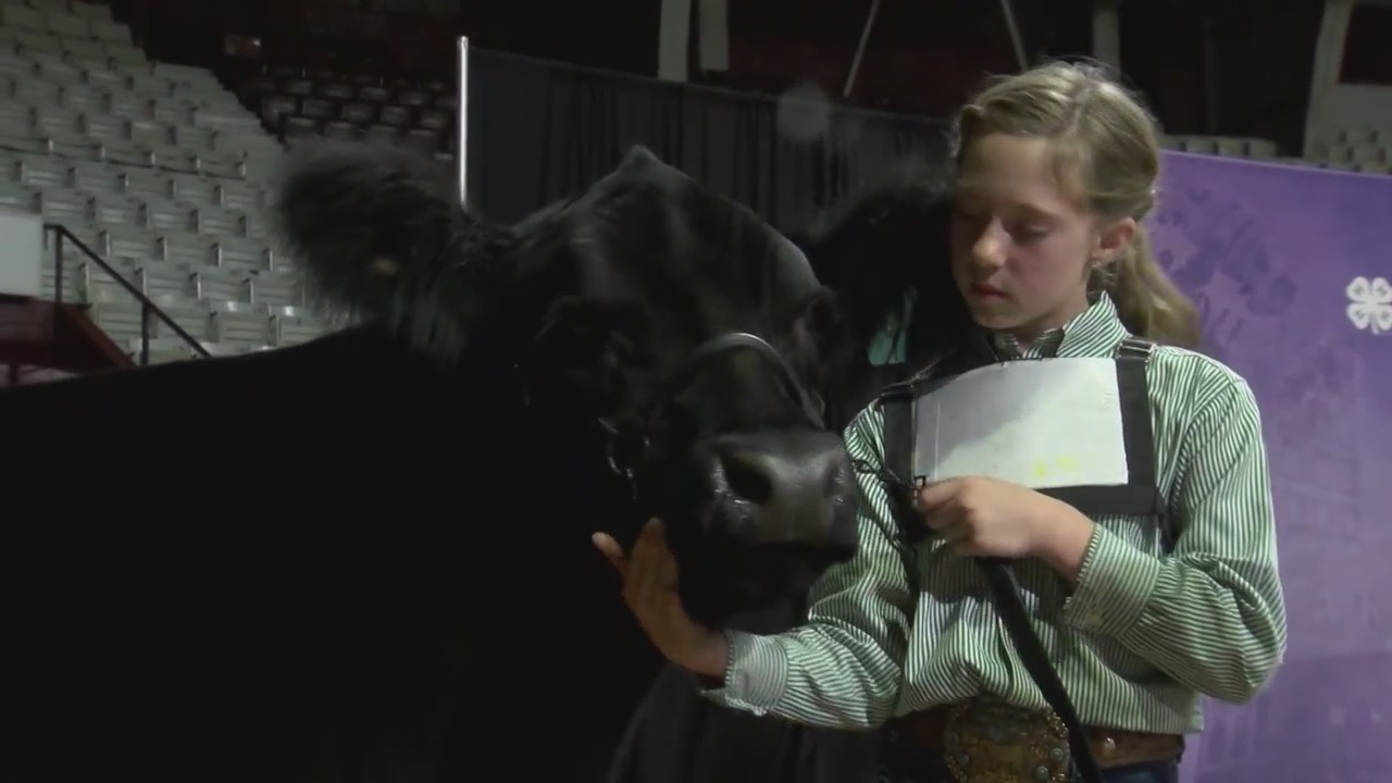 Generations of Grit: Godwin family keeps livestock tradition alive at ...