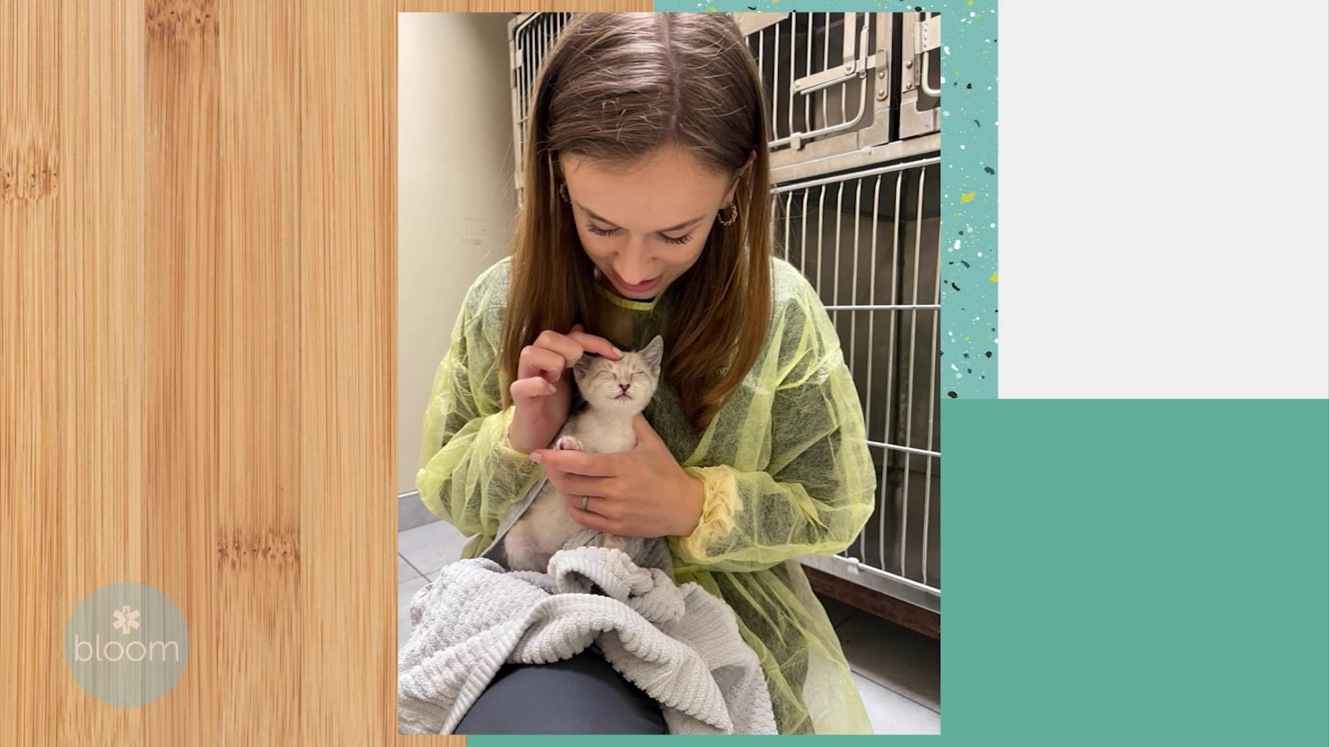 Preventative wellness for pets – WFLA