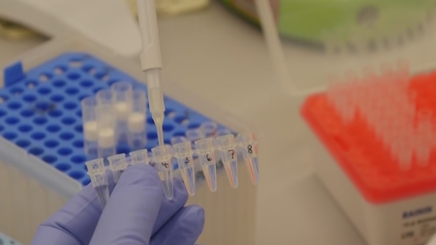 NIH cuts to OHSU funding show ‘disdain for science’ – KOIN.com