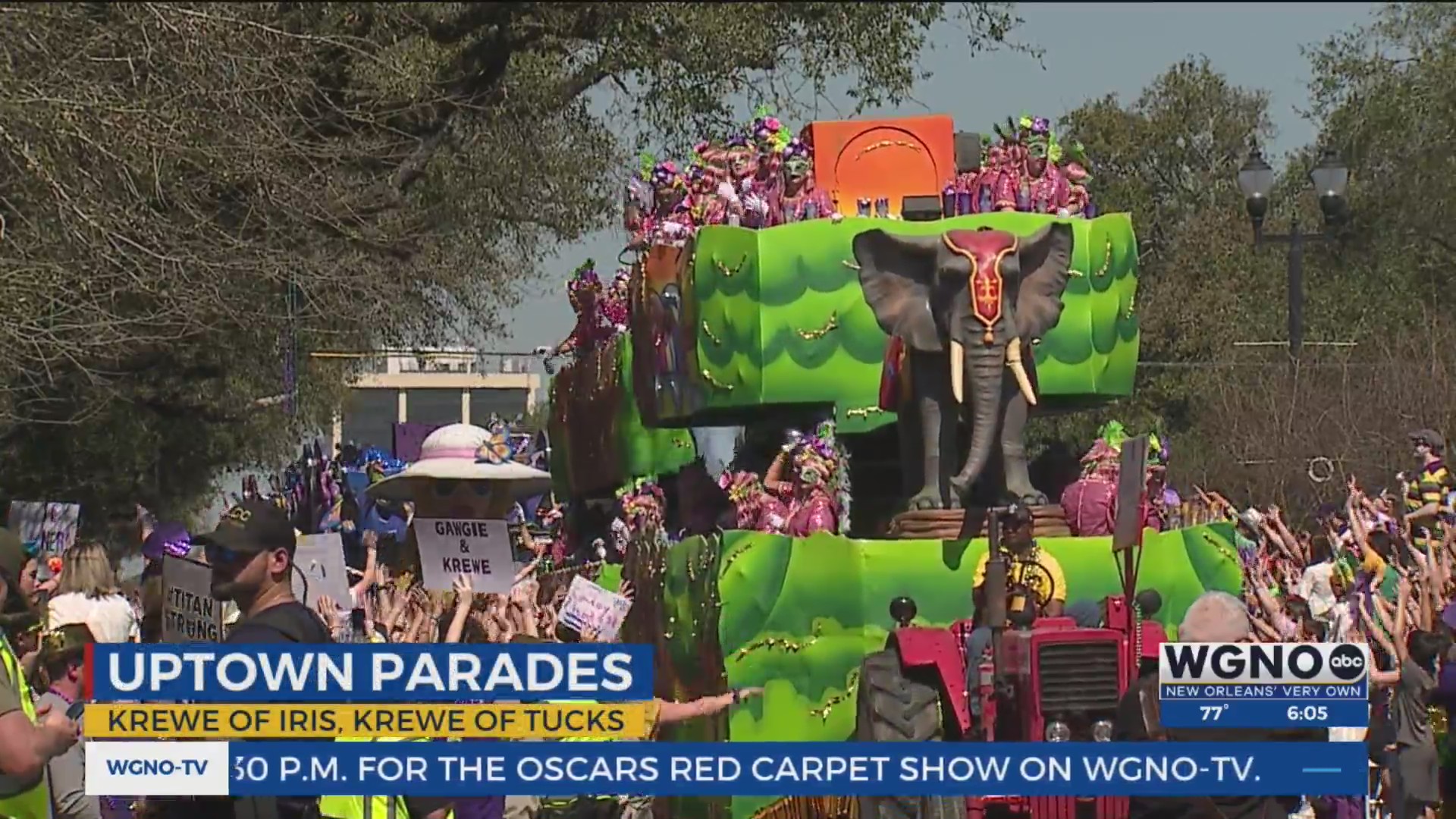 Krewe of Iris & Tucks parades leave paradegoers fulfilled – WGNO