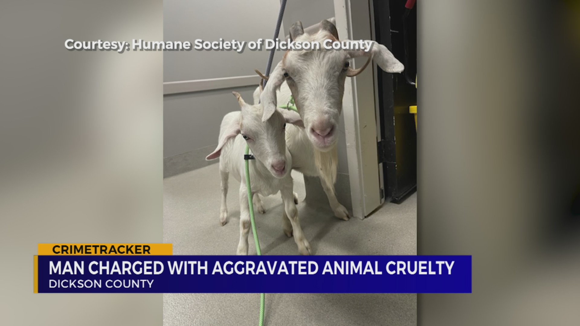 Man charged with aggravated animal cruelty in Dickson County – WKRN News 2