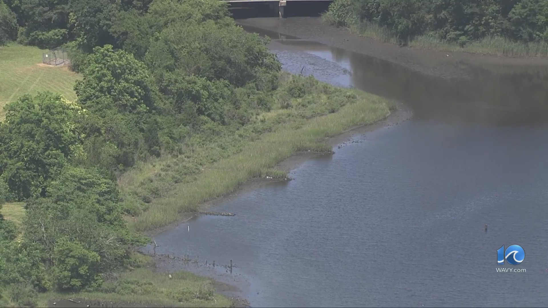World Environment Day – Coastal Virginia Pollution – WAVY.com