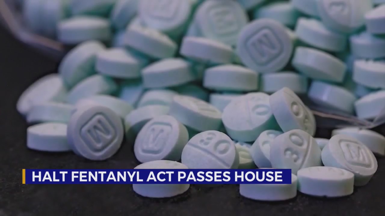 House passes Congressman Morgan Griffith’s HALT Fentanyl Act – WJHL ...