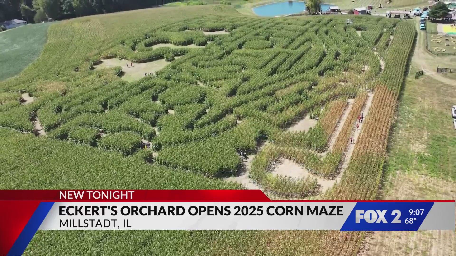 Eckert’s Farm opens 2025 fall corn maze – FOX 2