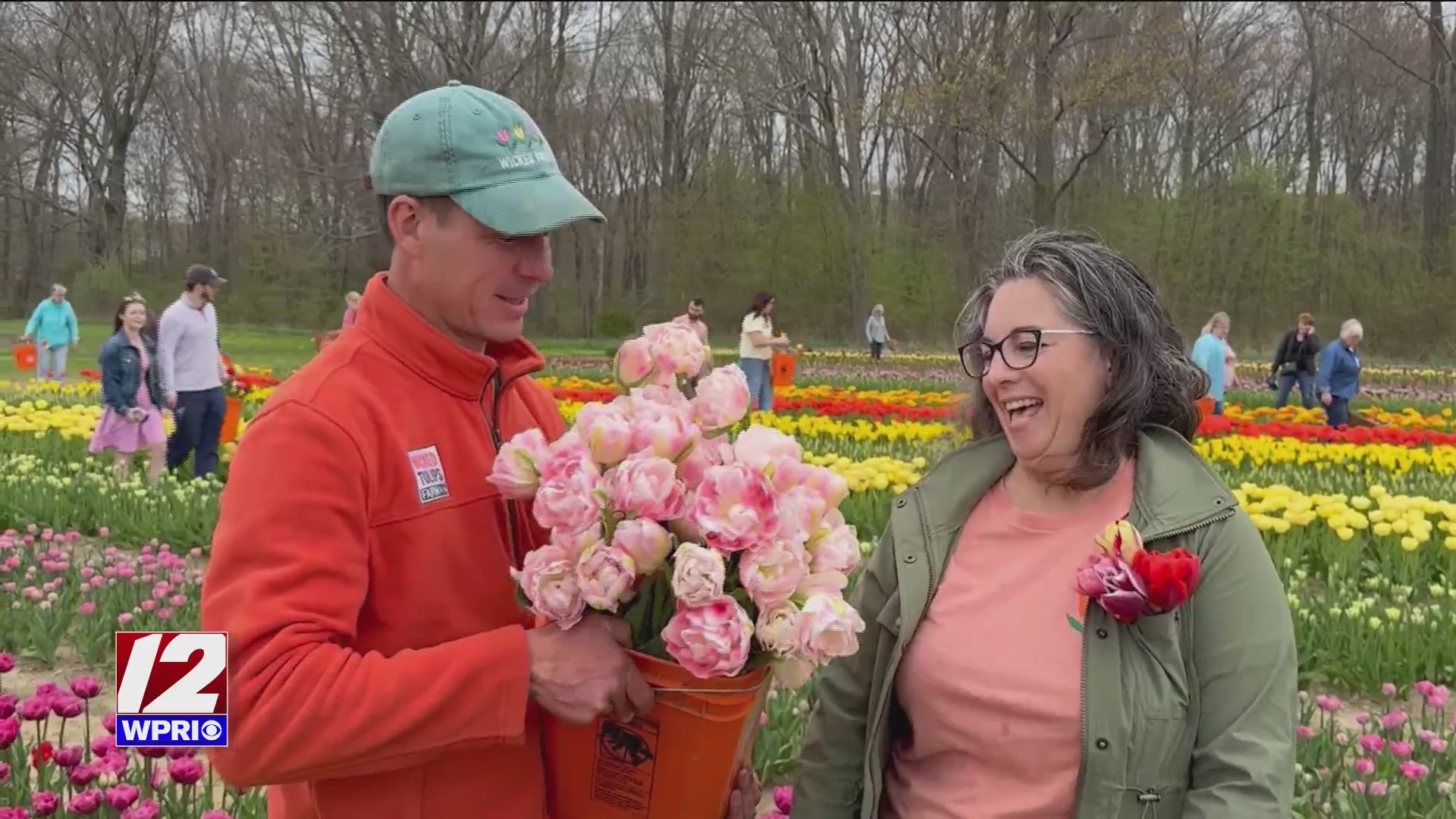 Wicked Tulips is a popular Rhode Island destination – WPRI.com
