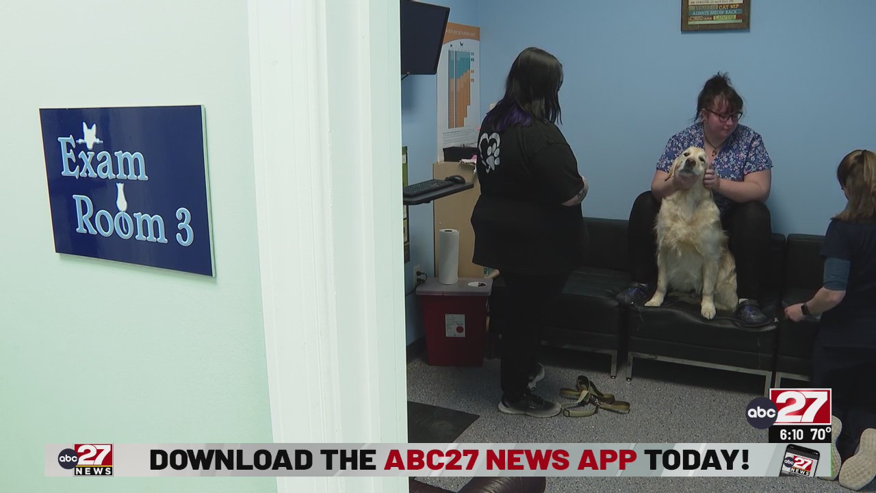 Palmyra animal hospital is saving canine lives with dog blood ...