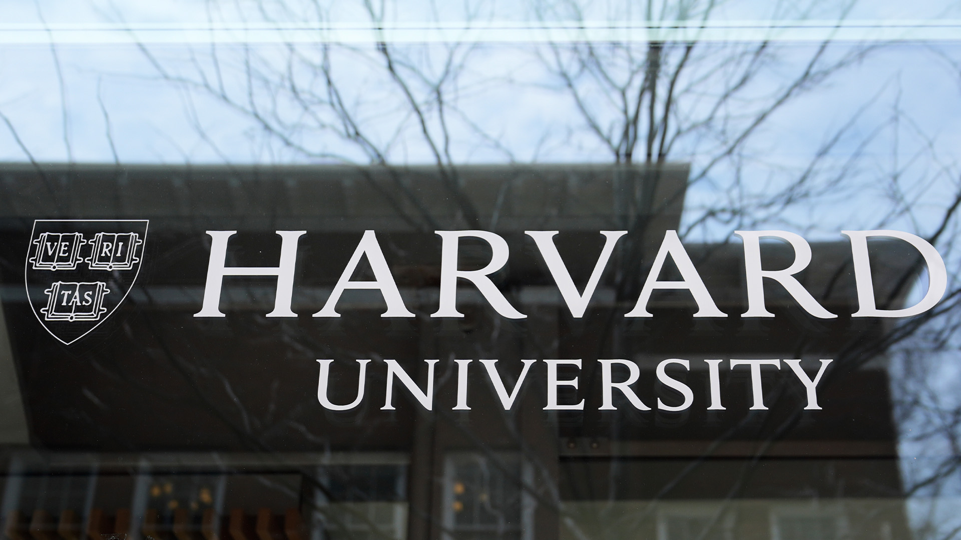 AP: Trump DHS blocks Harvard’s ability to enroll international students ...