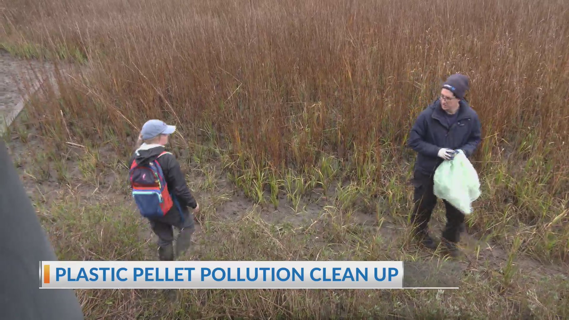 Volunteers help with plastic pellet pollution clean-up in Charleston ...