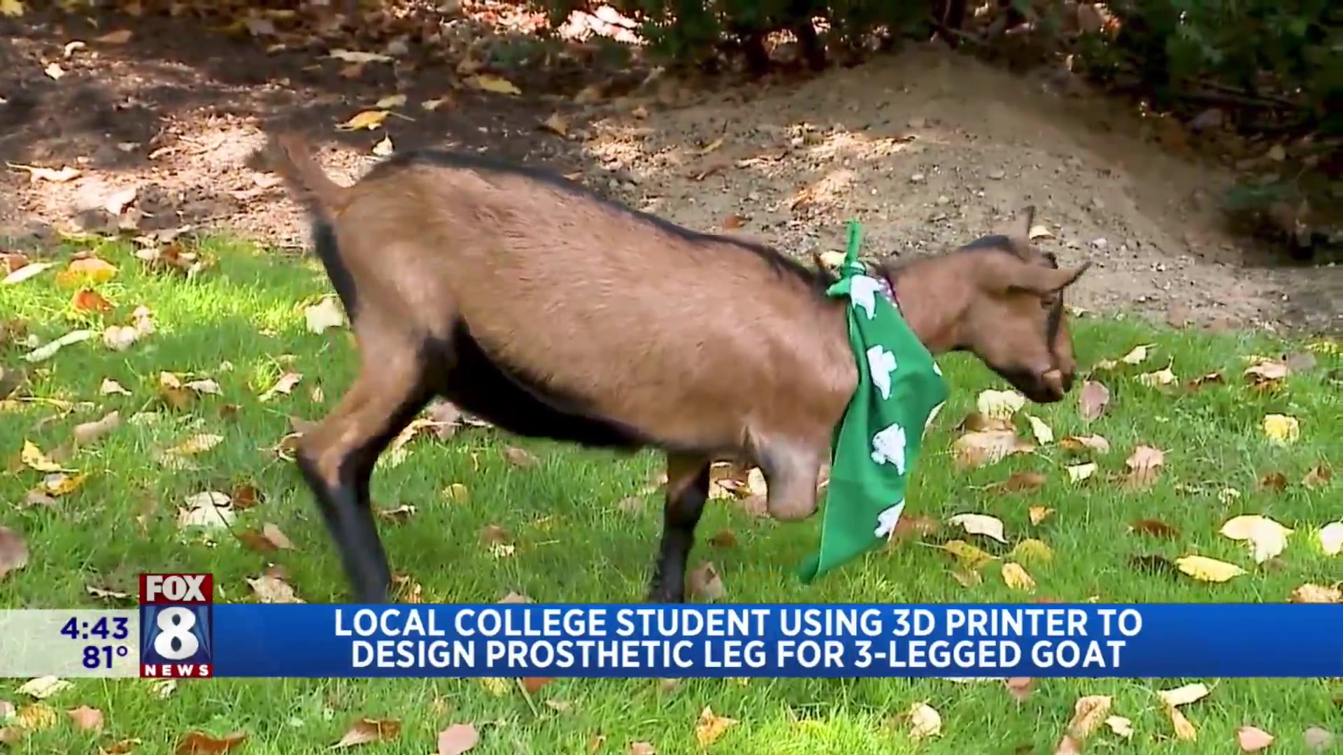 Lake Erie College student using 3D printing to make prosthetic leg for ...