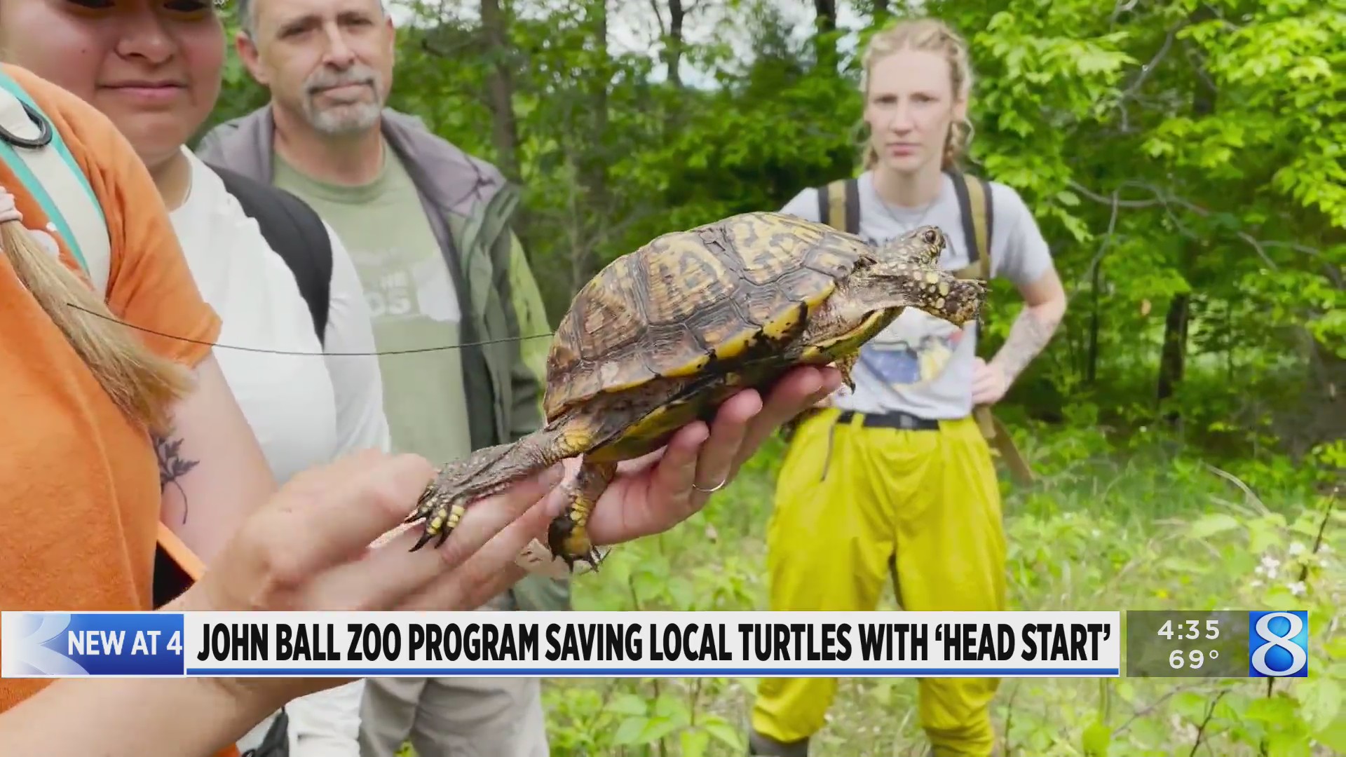 Researchers go hunting for turtles to help keep them alive – WOODTV.com