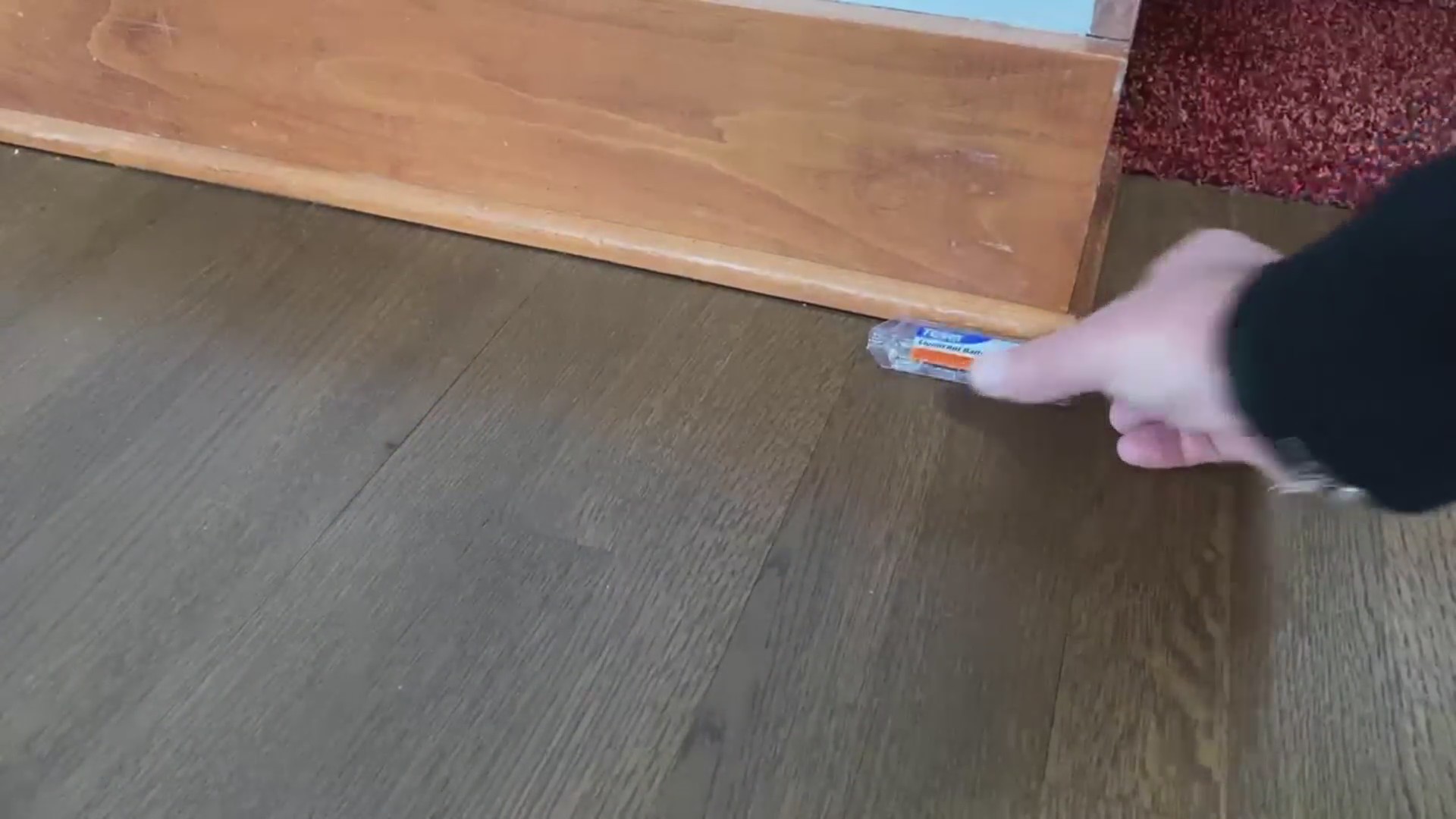 Mr. Fix It with tips on controlling your ant problem – WGN-TV