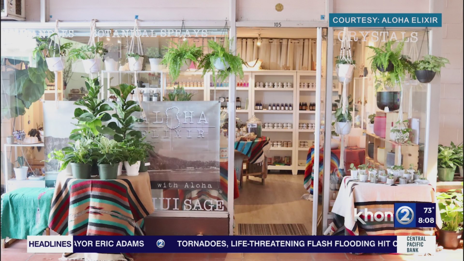 10th Anniversary for Aloha Elixir – KHON2