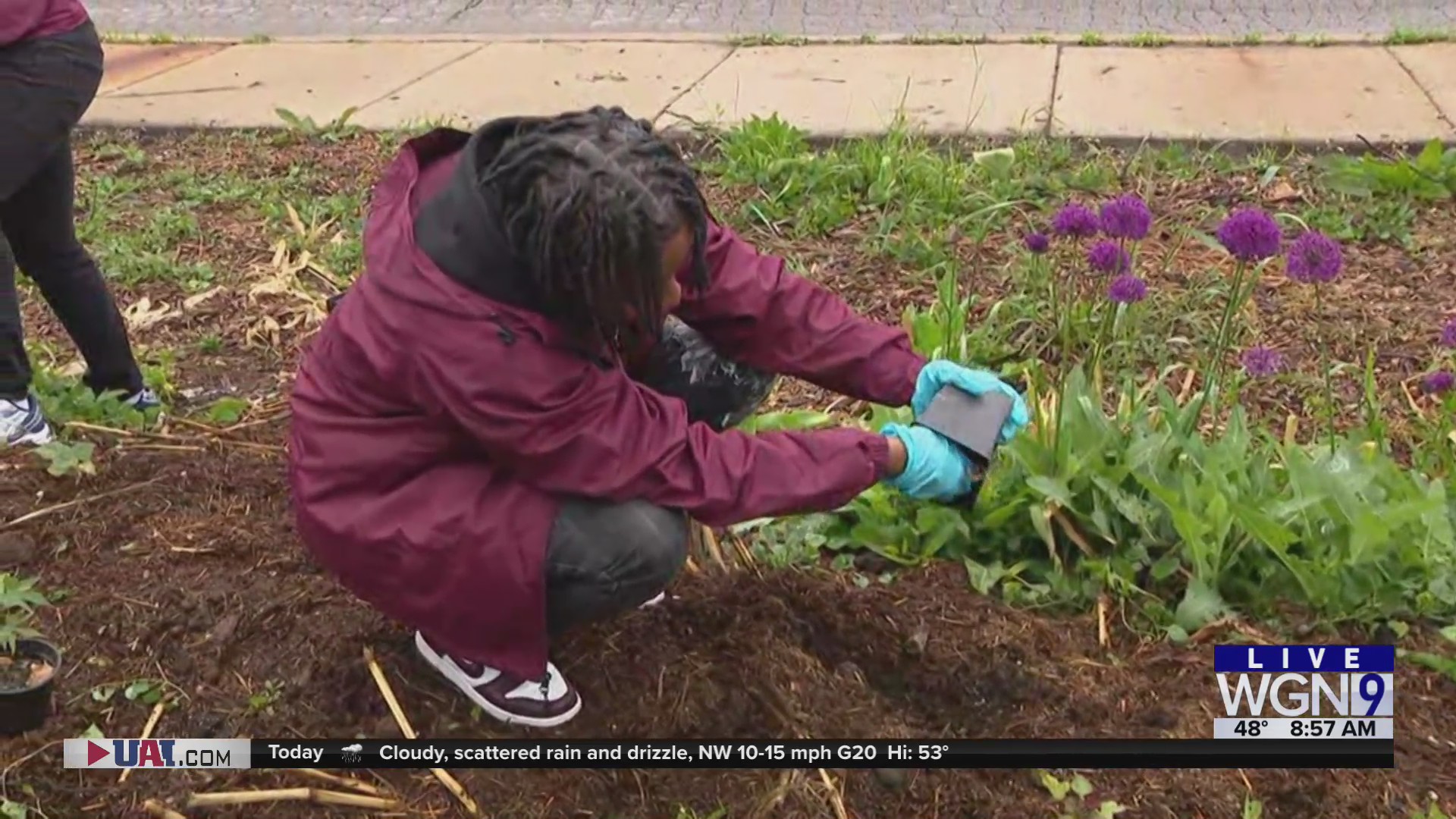 Around Town – CCA Academy’s PermaPark – WGN-TV