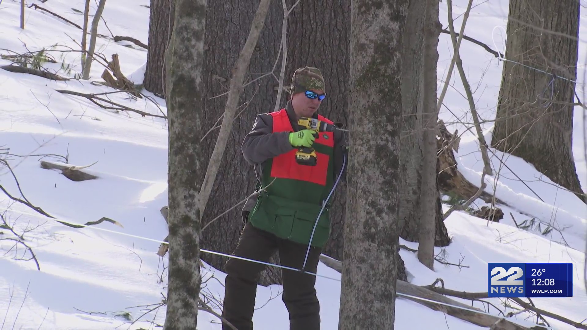 Maple syrup season begins in western Massachusetts – WWLP