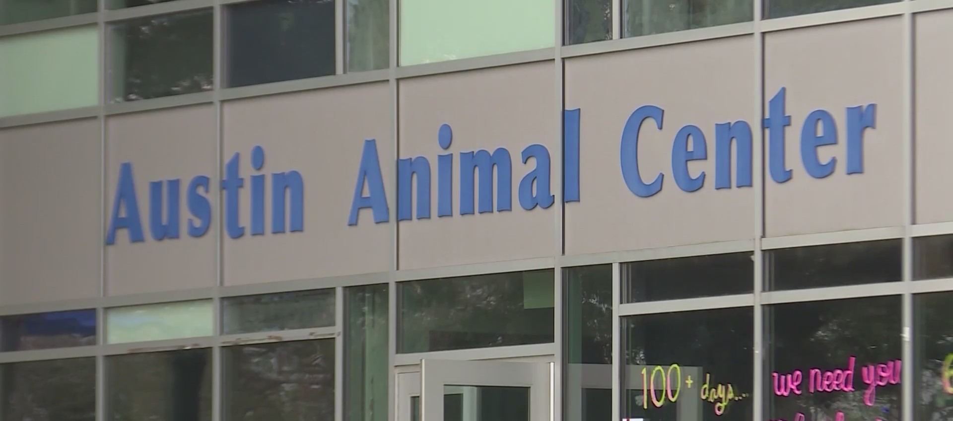 Austin working group aiding future of city animal services operations ...