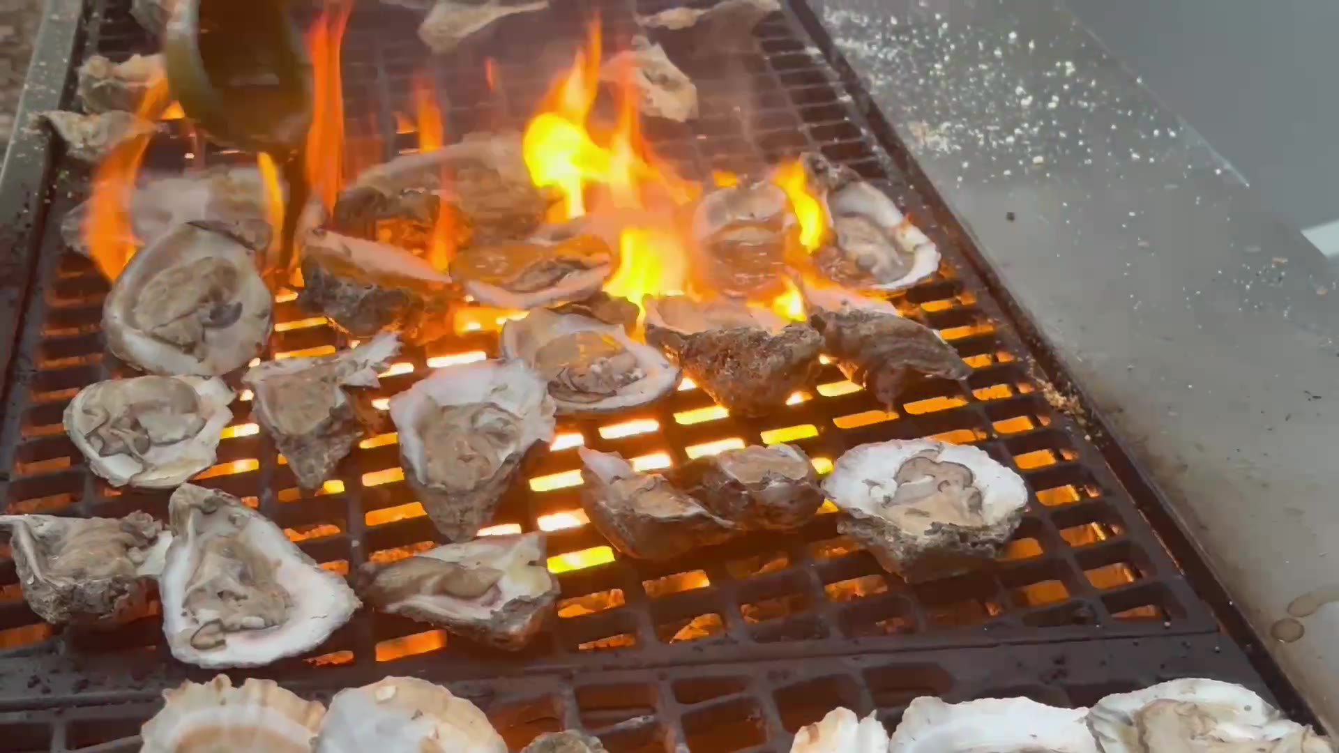 Shuck Cancer of South Alabama raises money for local cancer patients ...